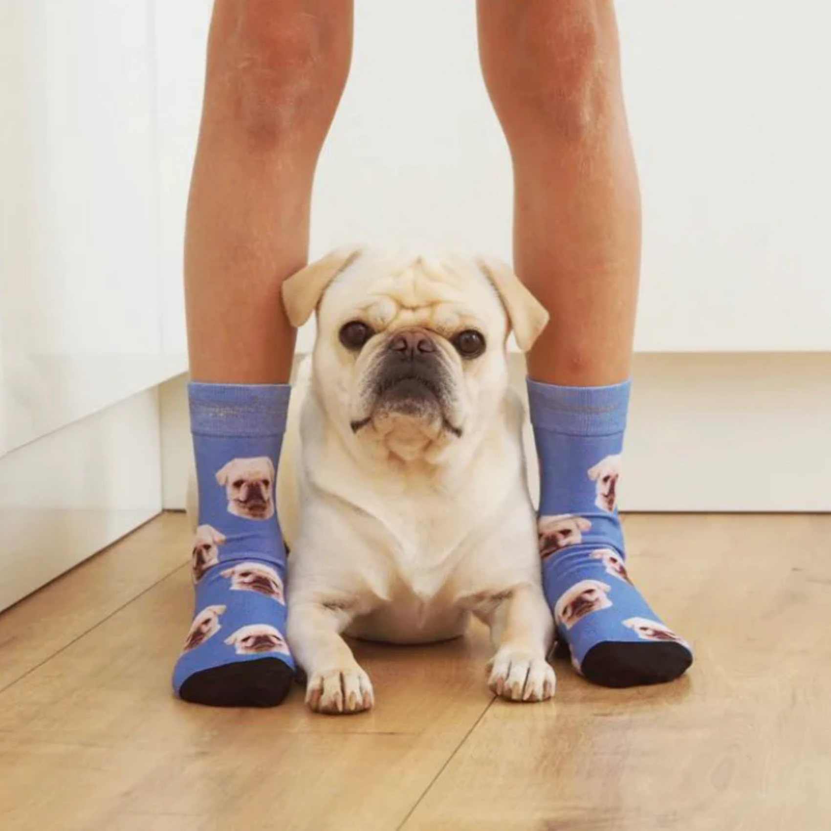 ココソックス - 愛犬の特別な瞬間をカスタムソックスにプリント